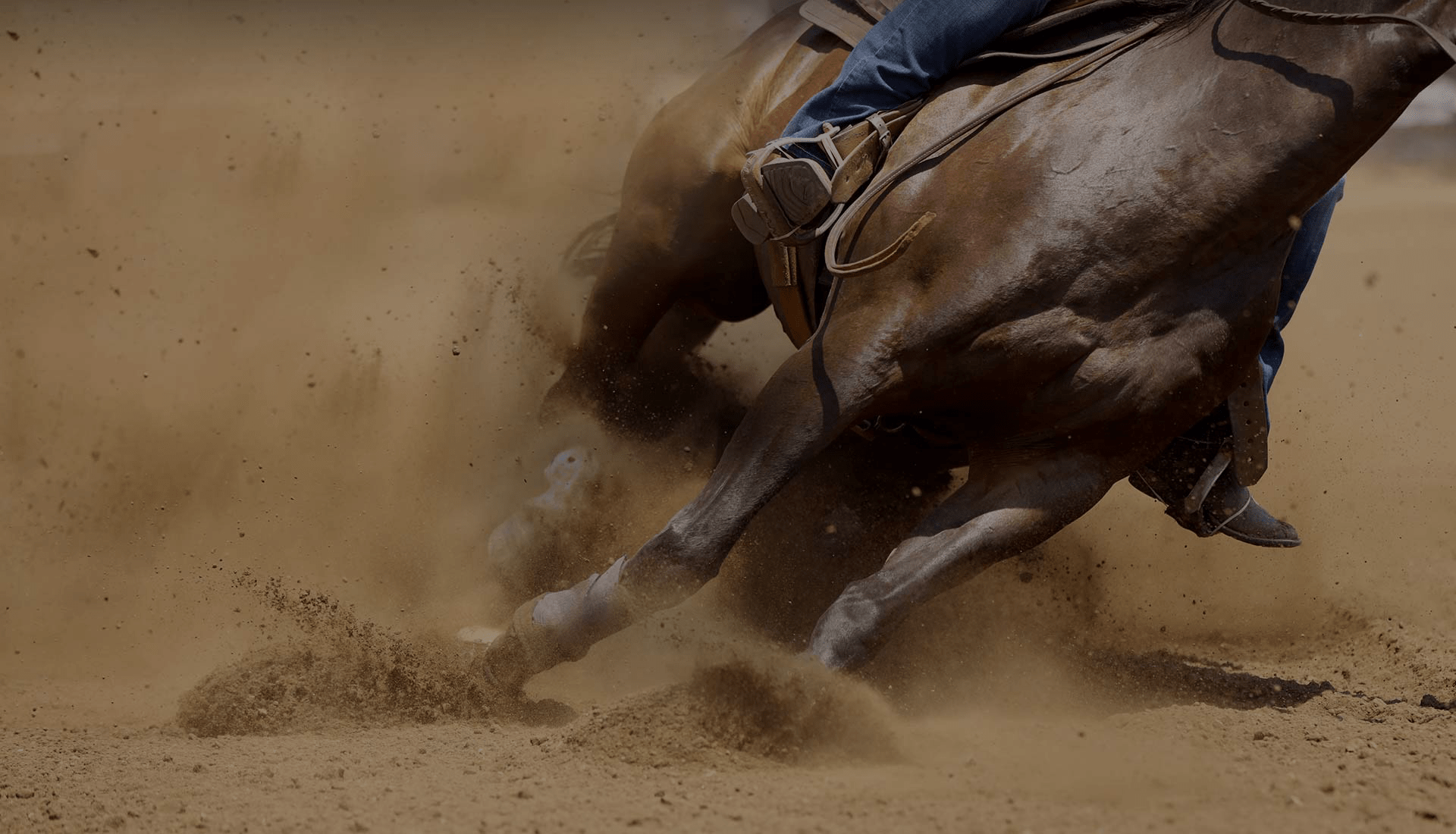 Digger Dog Endures | Digger Dog manufactures outdoor recreation products